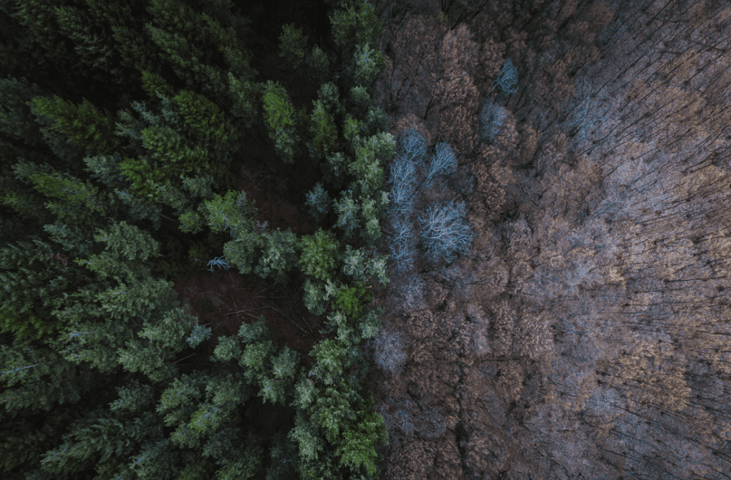 ENGIE and Catona Climate join forces to scalesupply of nature-based ...